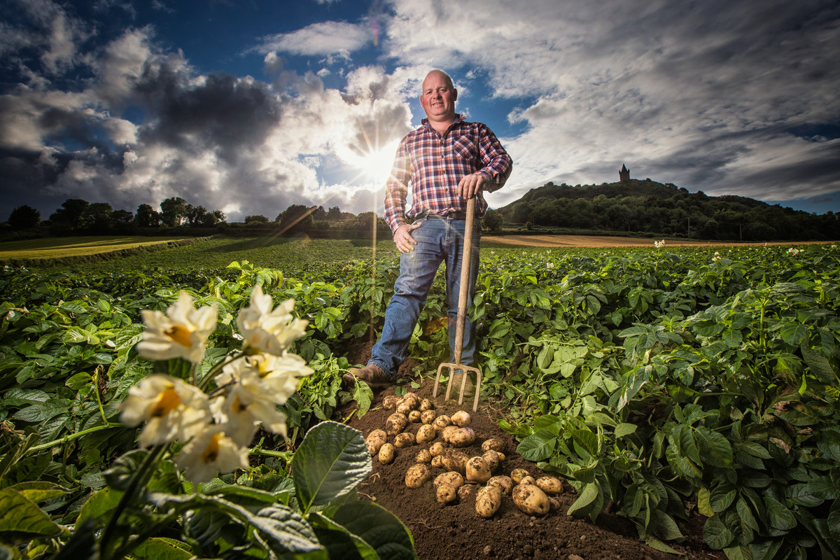 Discover Northern Ireland's Protected Potatoes | TheTaste.ie