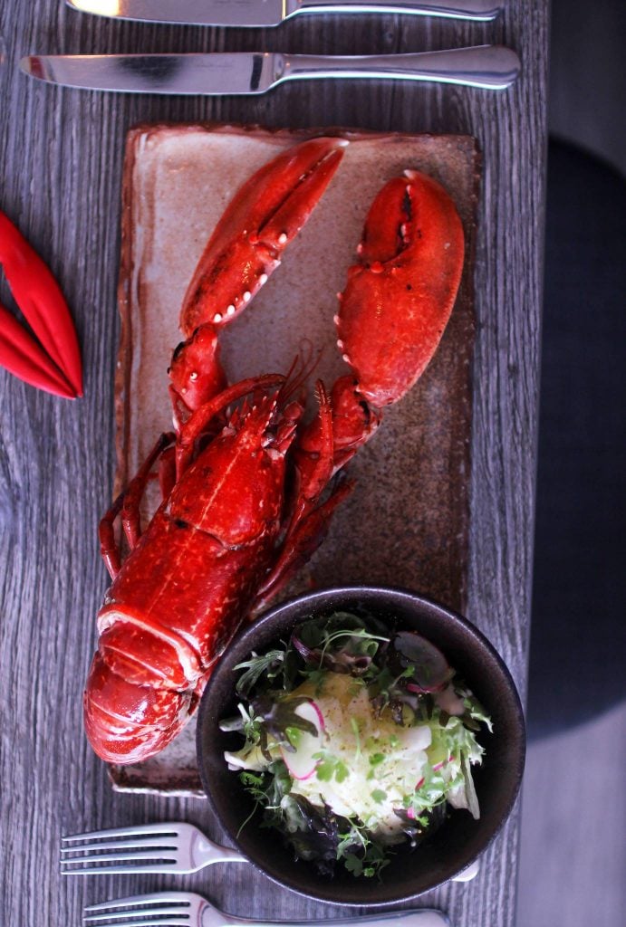 lobster lobstar - TheTaste.ie