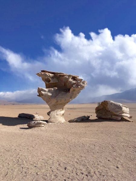 Arból de Piedra (rock tree), Salar de Uyuni - TheTaste.ie
