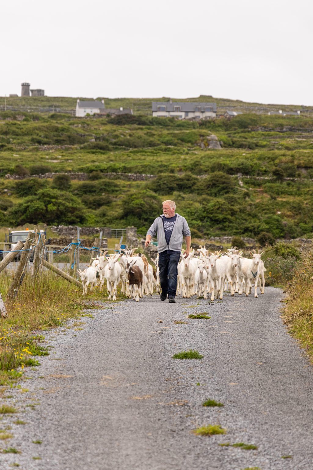 Autumn with Aran Island Ferries and a Brand new Aran Food Tour ...
