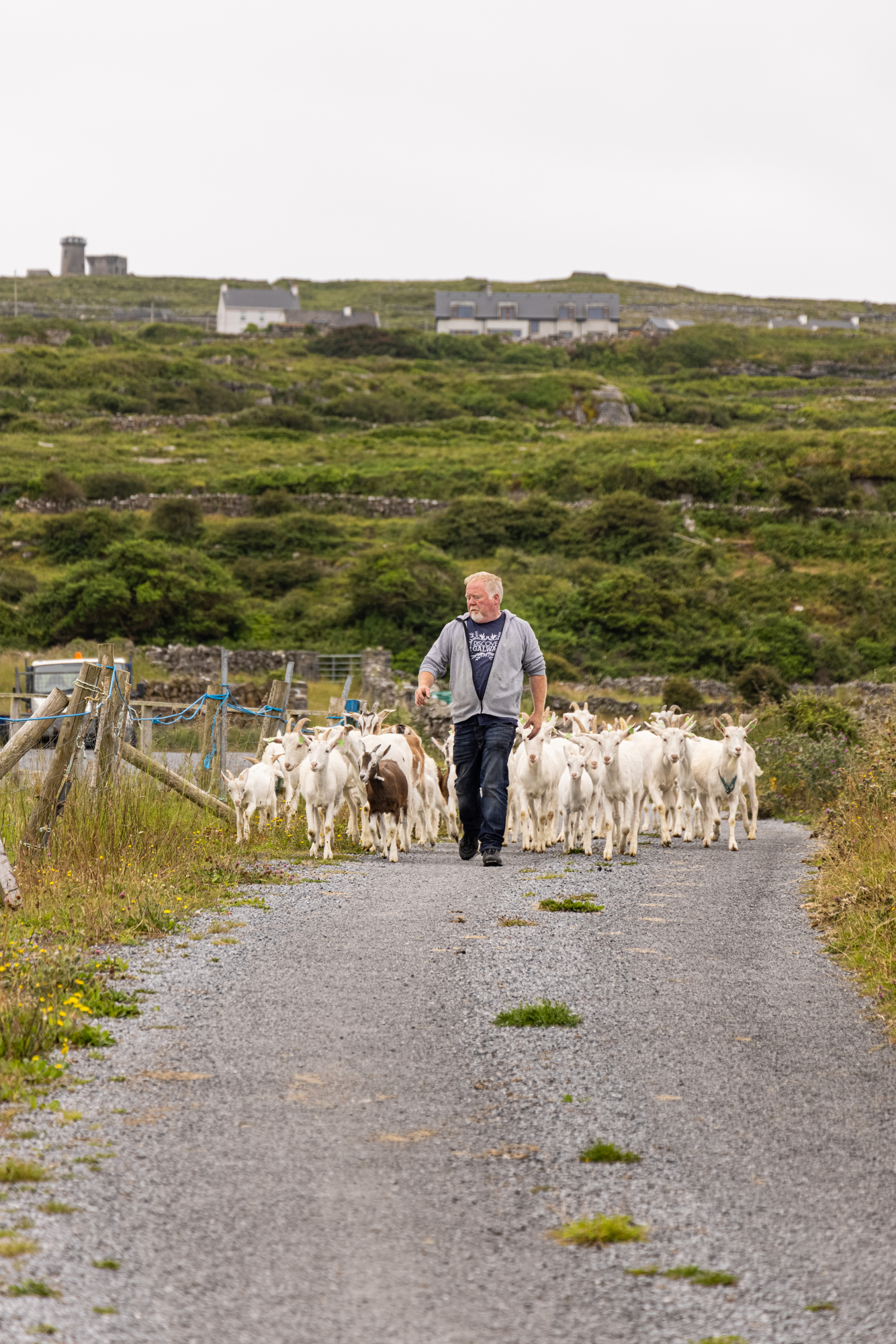 Autumn with Aran Island Ferries and a Brand new Aran Food Tour ...