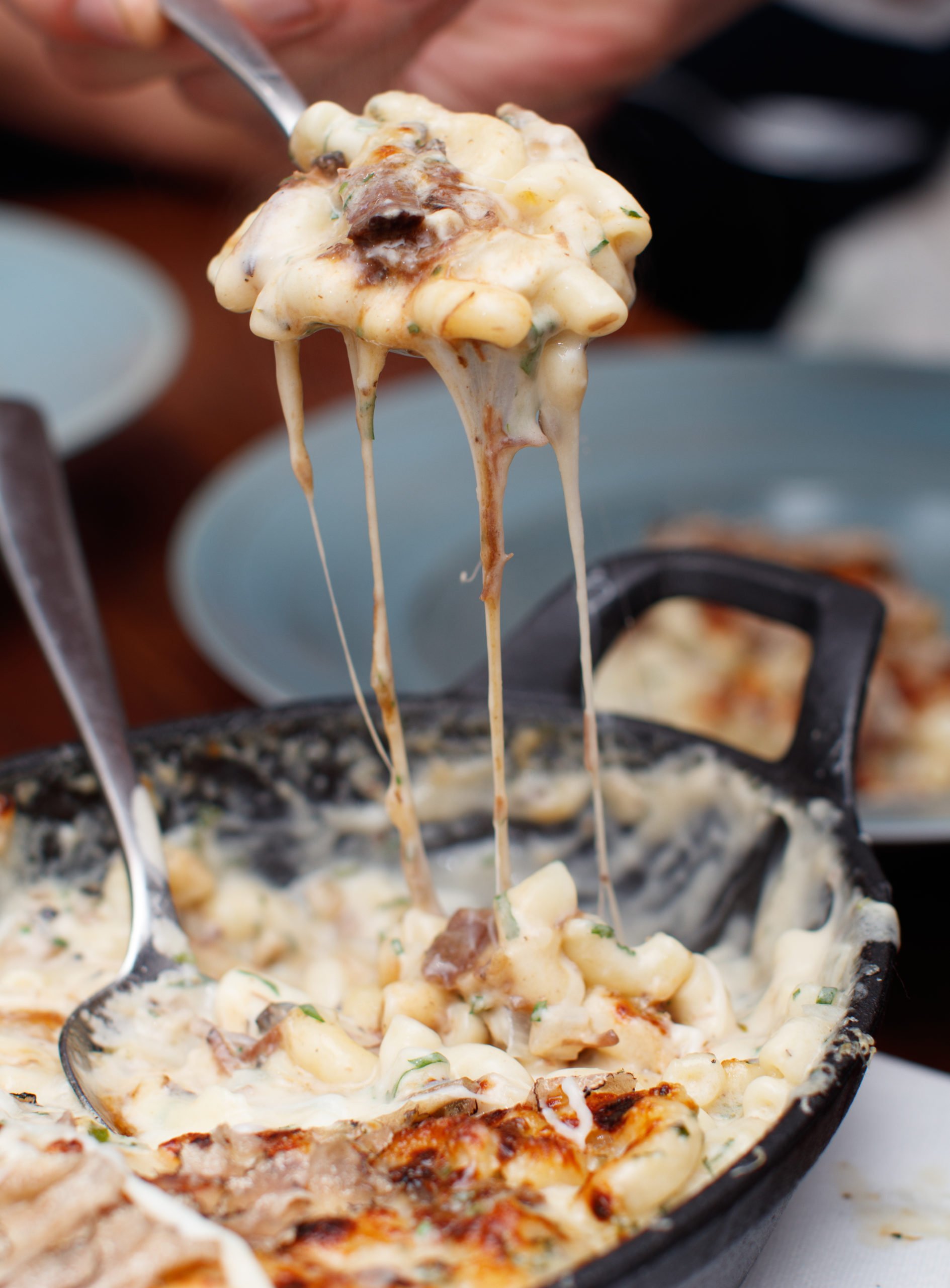 From cheese toasties to mozzarella sticks, here are some of the best ...