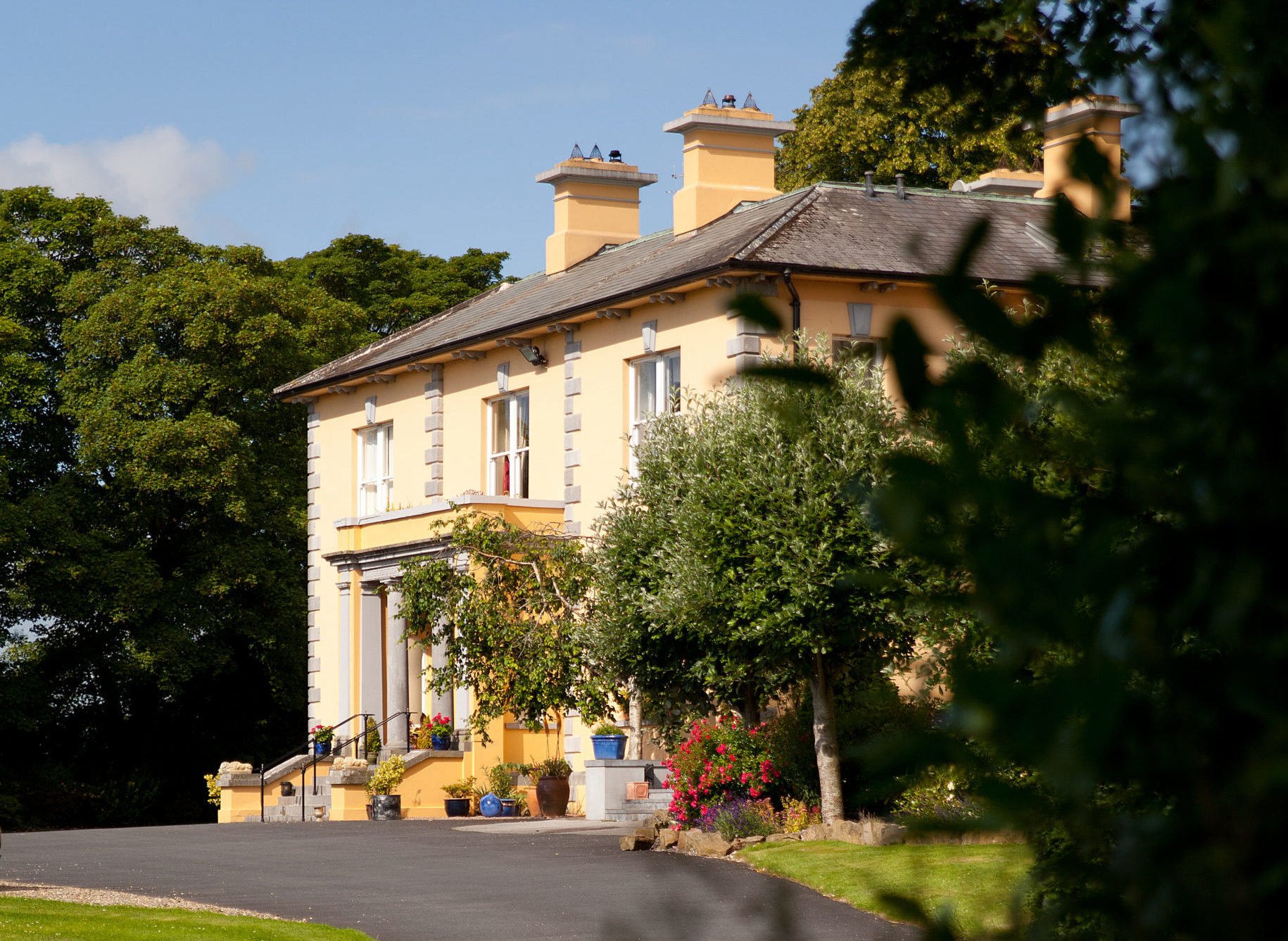 The Pigtown Food & Culture Series Comes to Mustard Seed in Limerick