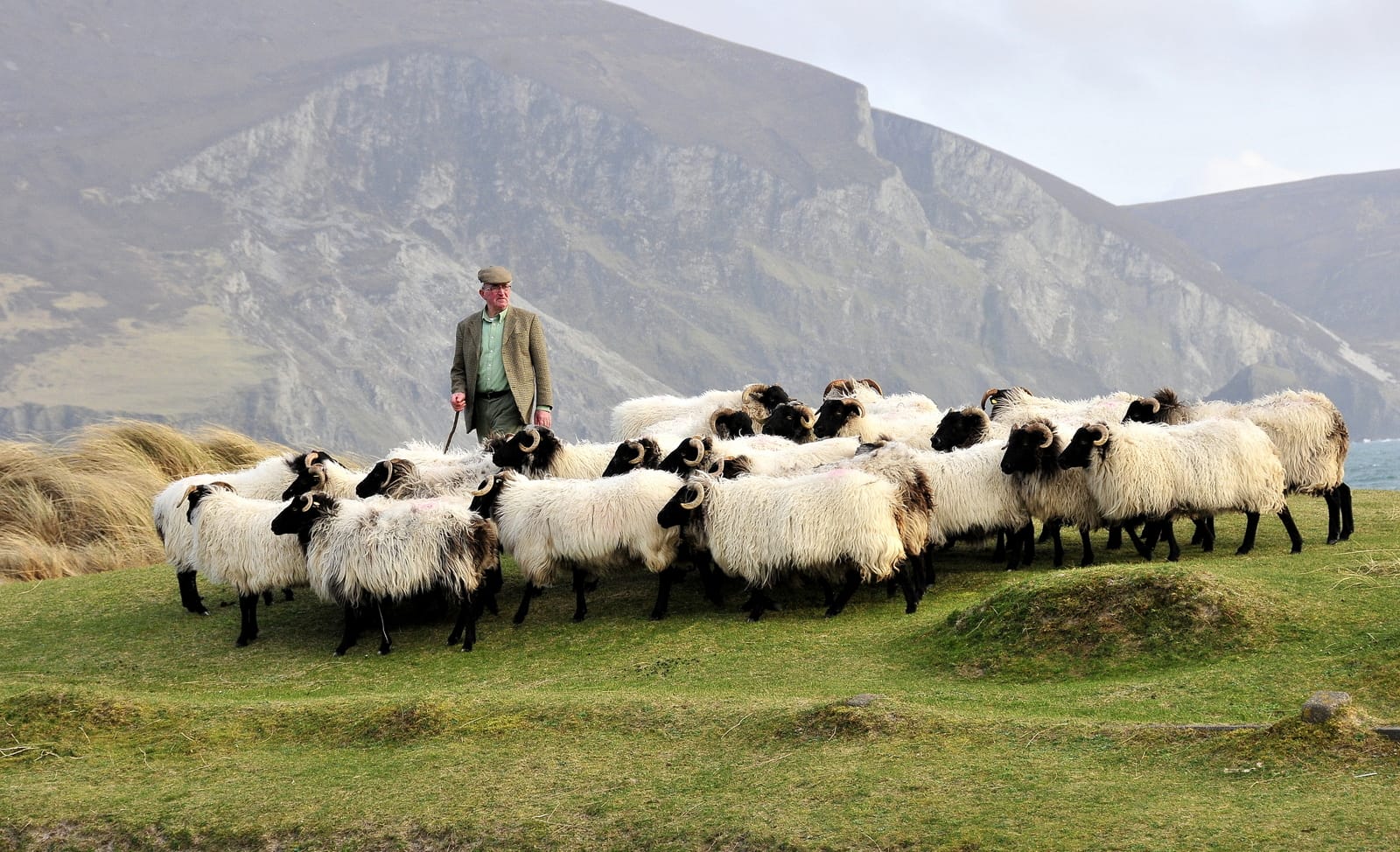 The Lodge at Ashford Castle's Executive Chef, Jonathan Keane, Guides ...