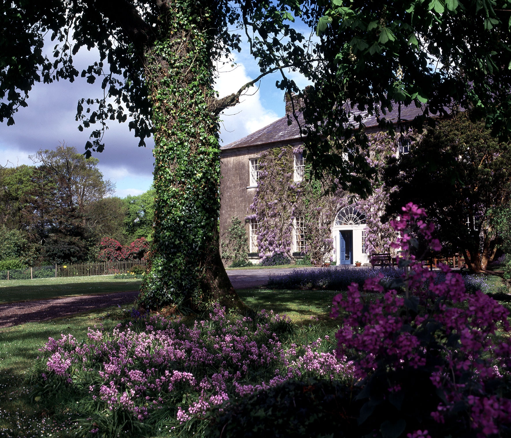 This Year's Ballymaloe Festival of Food Celebrates 60 Years of Ballymaloe